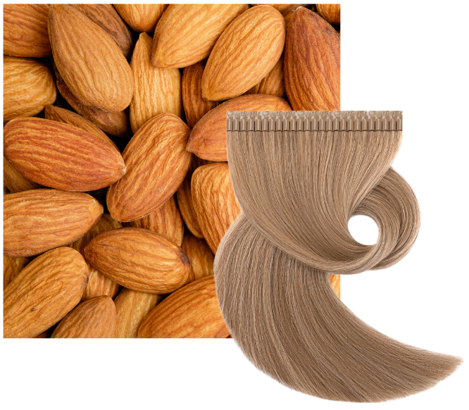 Natural Color Collection: great extensions color shades